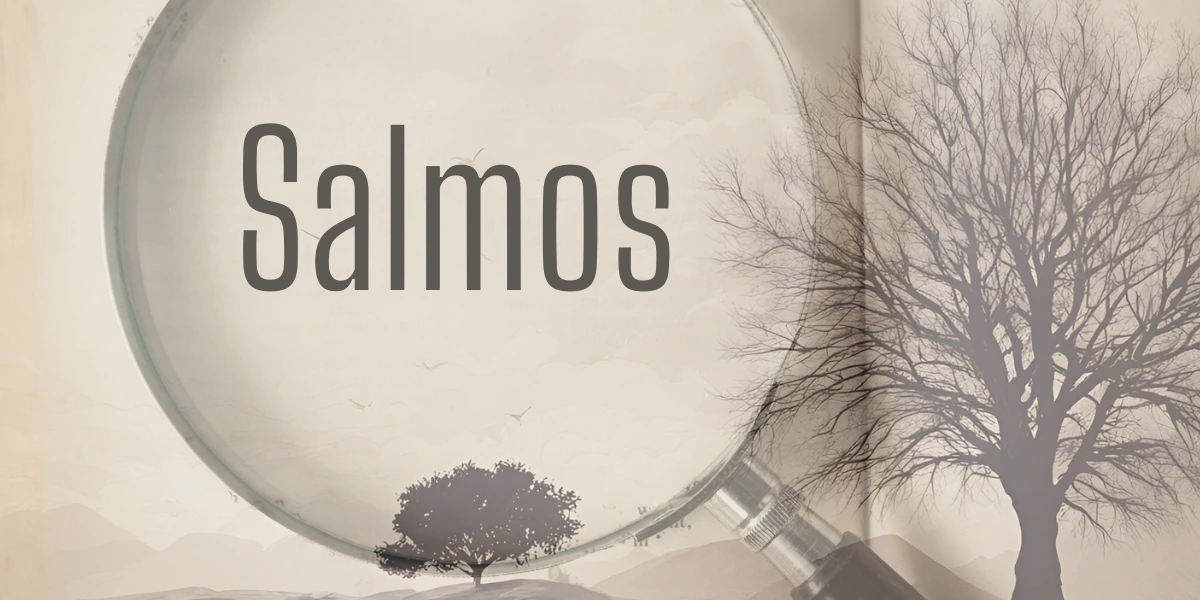 O que é o livro de Salmos na Bíblia? - Deus Entre Páginas