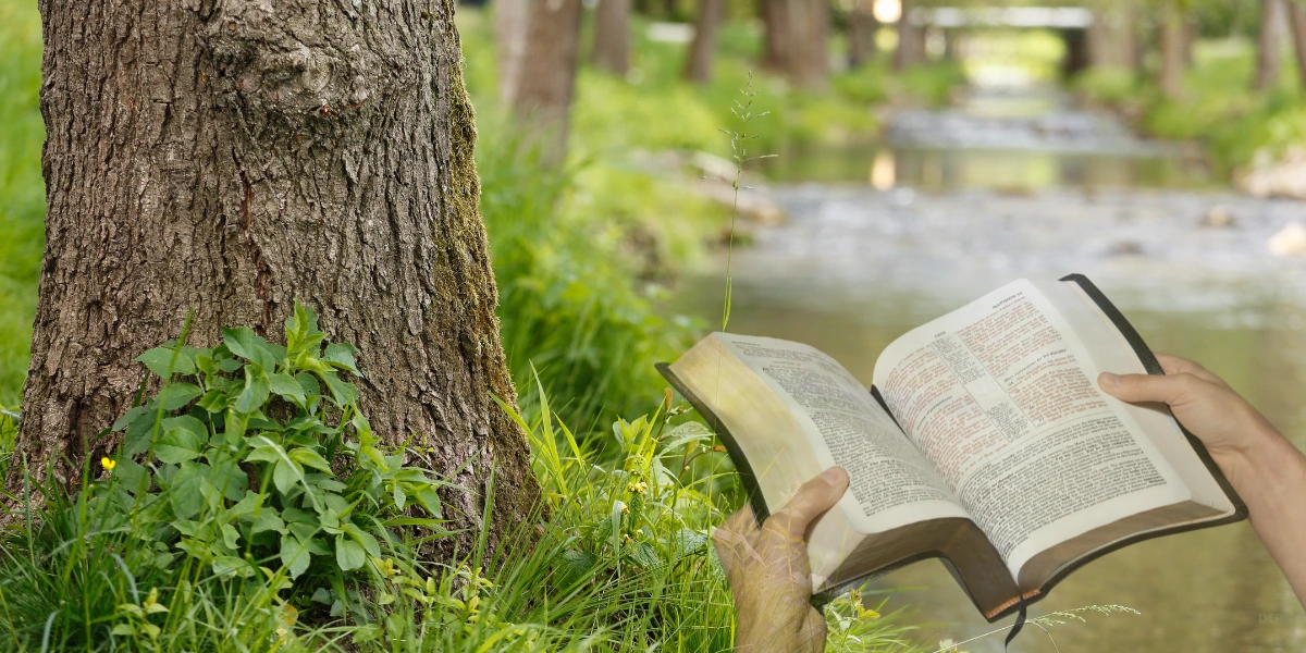 Salmos 1 Estudo Deus Entre Páginas